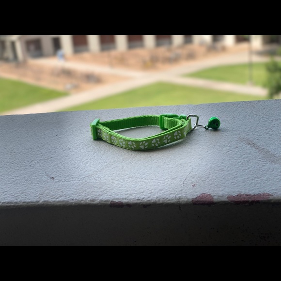 Other | Slime Adjustable Pet Collar | Poshmark